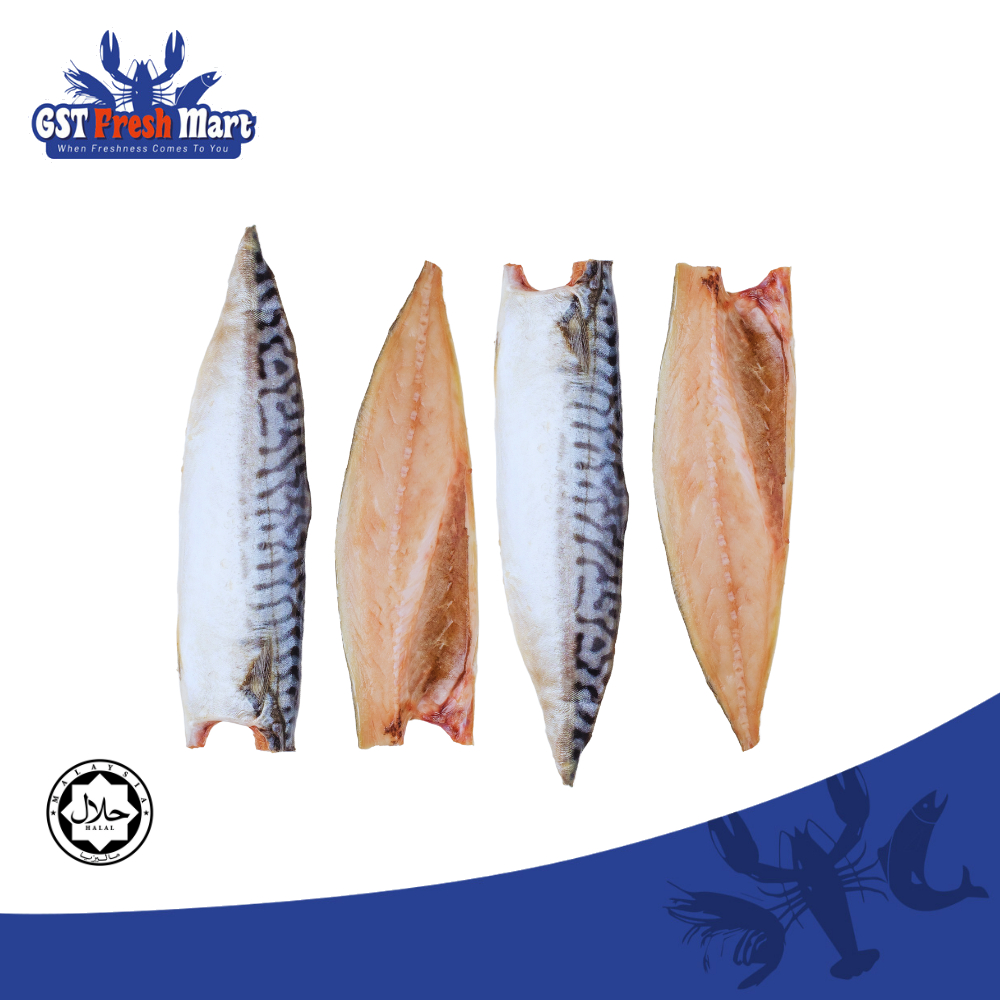 FROZEN NORWEGIAN SABA MACKEREL FILLET(3-6PCS) 450-500GM+-/PKT 冷冻鲭鱼片 ...