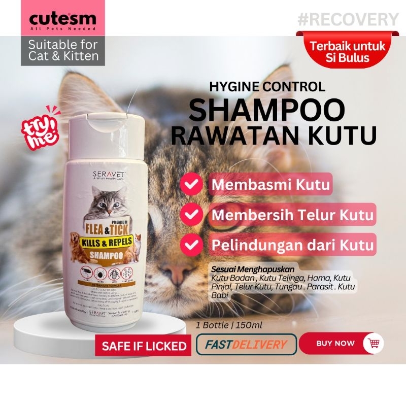 Cat & Kitten 𝐒𝐇𝐀𝐌𝐏𝐎𝐎 𝐑𝐀𝐖𝐀𝐓𝐀𝐍 𝐊𝐔𝐓𝐔 𝐊𝐔𝐂𝐈𝐍𝐆 Kuti Badan, Telur Kutu, Hama ...