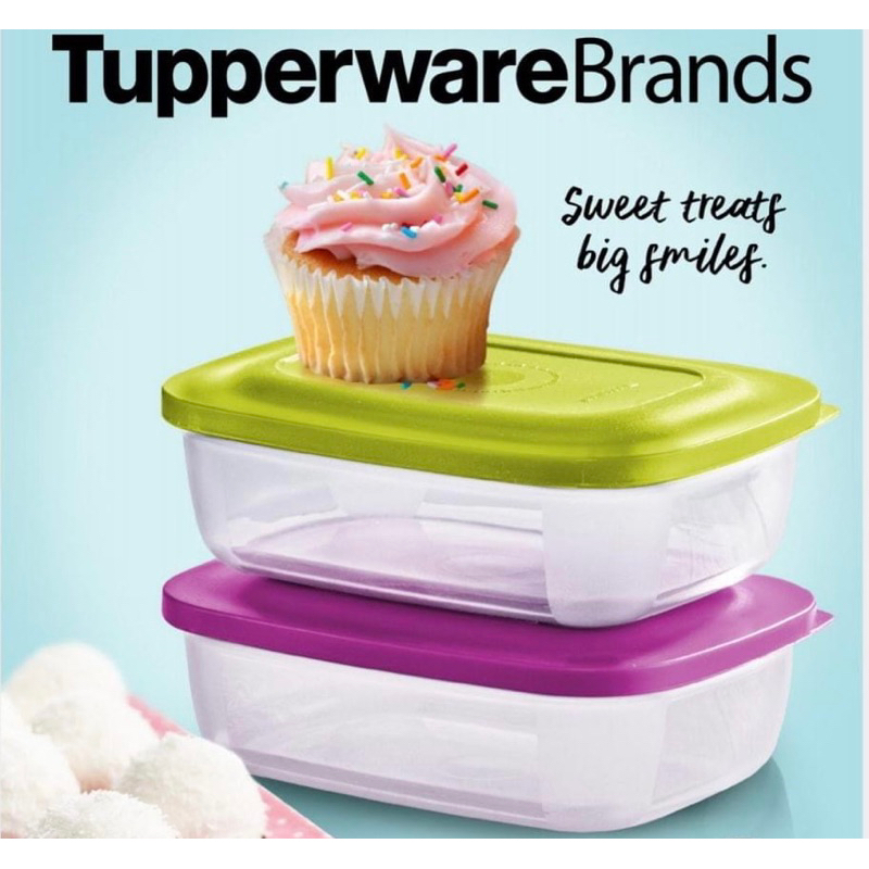 Tupperware Small Rectangular Saver 500ml-1 Pcs | Shopee Malaysia