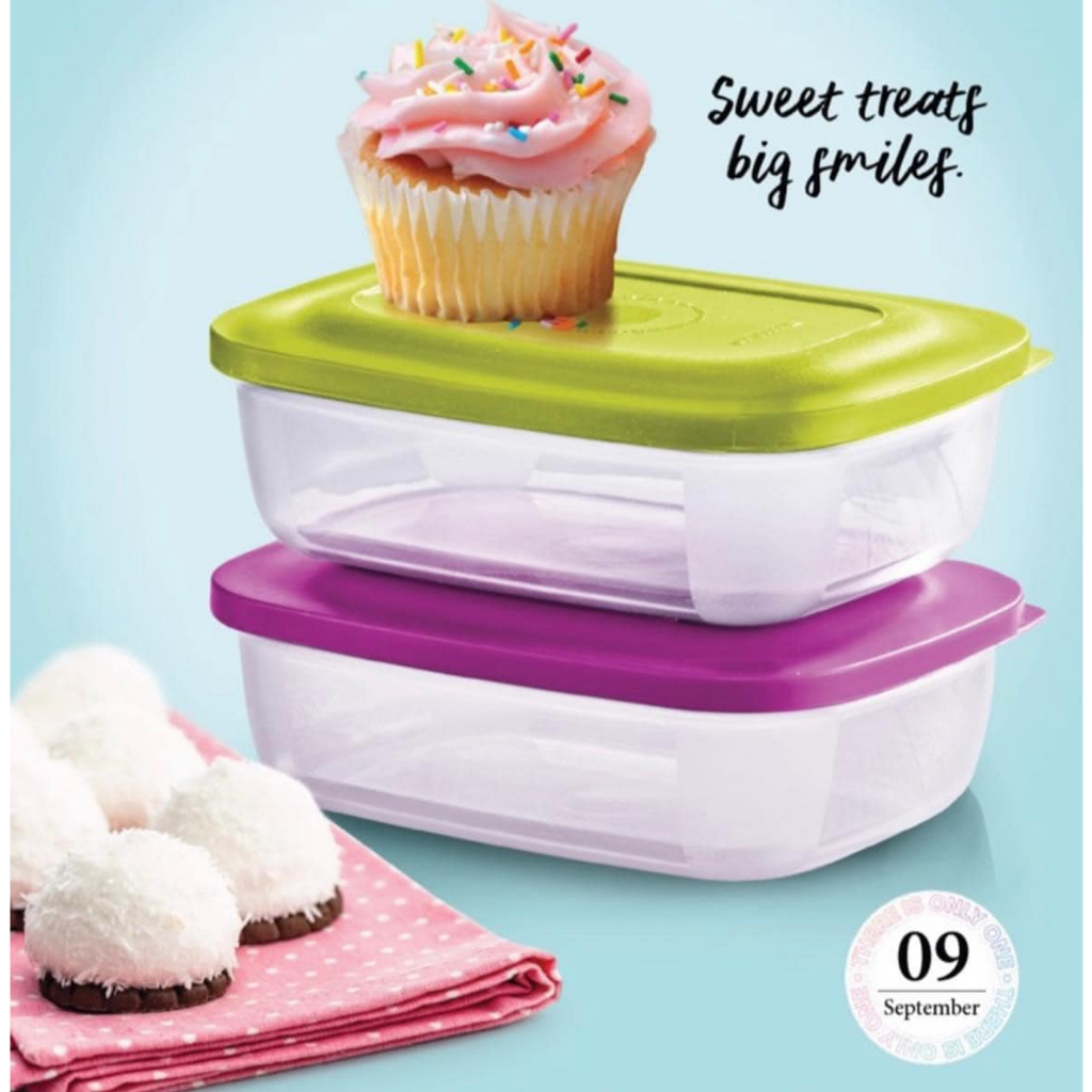 Tupperware Small Rectangular Saver 500ML Lunch Box mini size food ...