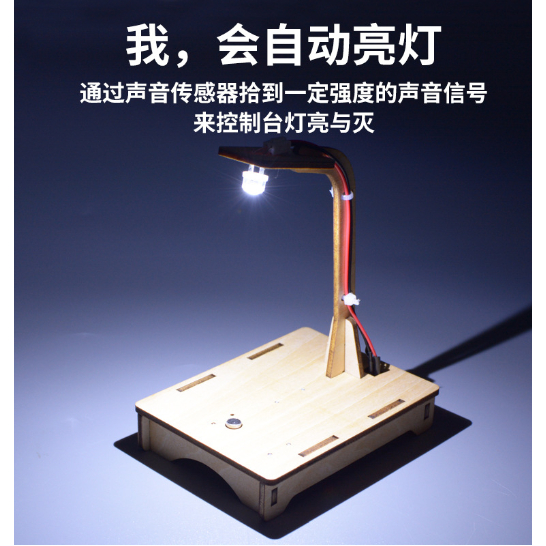 (STEM) Ready Stock DIY Voice Control Lamp for Early Learning School ...