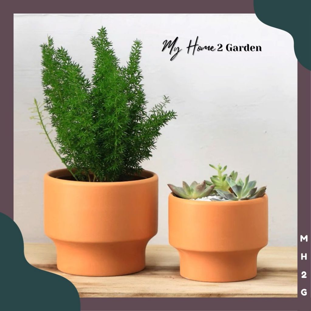 Red Pottery Clay Pot Terracotta Cactus Orchid Flower Plant Pot ...