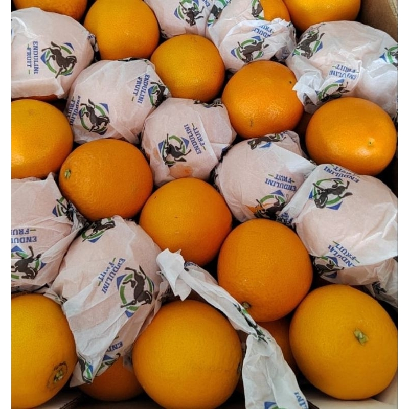 Orange, Fresh SA Orange Navel (XL) 3pcs | Shopee Malaysia