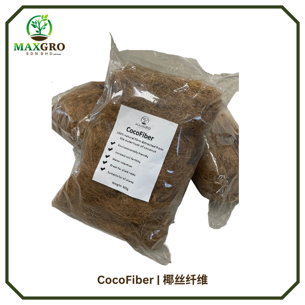 Coco Fiber | 椰丝纤维 | Coconut Fibre | Coco Coir | Sabut Kelapa | Serat ...