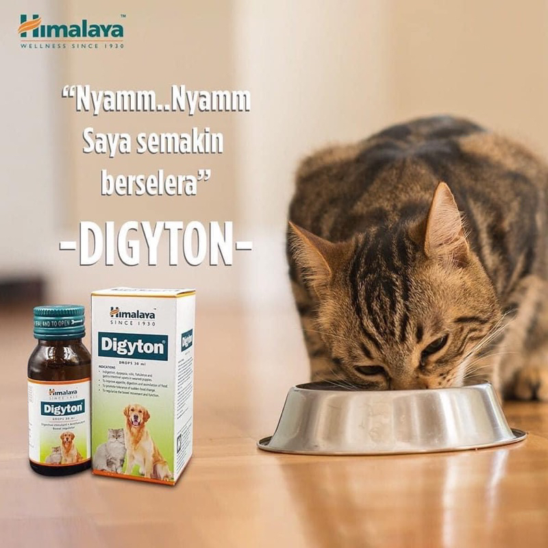 𝙃𝙞𝙢𝙖𝙡𝙖𝙮𝙖 𝘿𝙞𝙜𝙮𝙩𝙤𝙣 𝙃𝙚𝙖𝙡𝙩𝙝𝙮 𝘿𝙞𝙜𝙚𝙨𝙩𝙞𝙤𝙣 for Dog & Cats (𝟑𝟎𝙢𝙡) stimulate ...