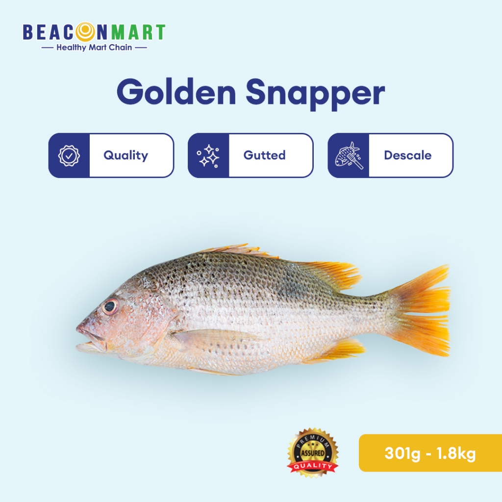 Beacon Mart Whole Fish Golden Snapper | Shopee Malaysia