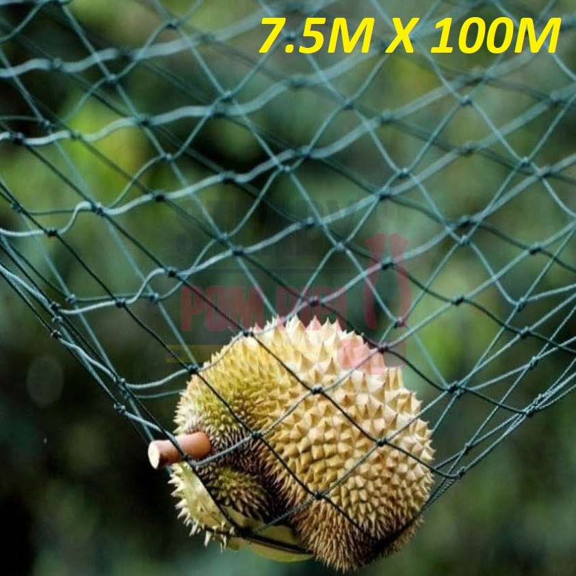 7.5M X 100M DURIAN NET / GRADE A DURIAN NETTING / JARING DURIAN / PE UV ...