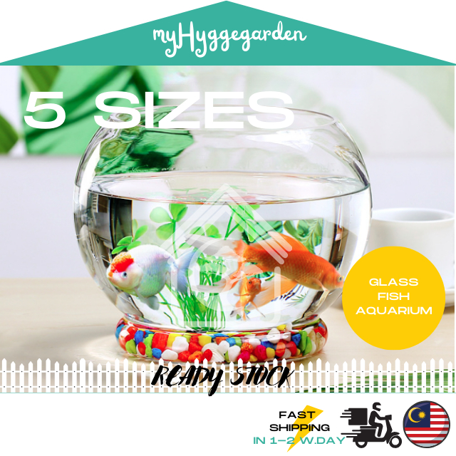 [GLASS] Transparent Round Clear Glass Fish Bowl Aquarium Home Office ...