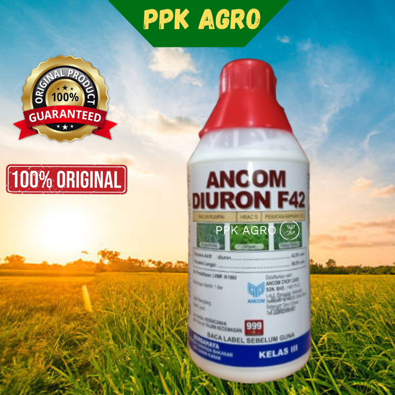 1L ANCOM DIURON F42 Racun Rumput Sambau Rumput Degil /Sambau Kepala ...