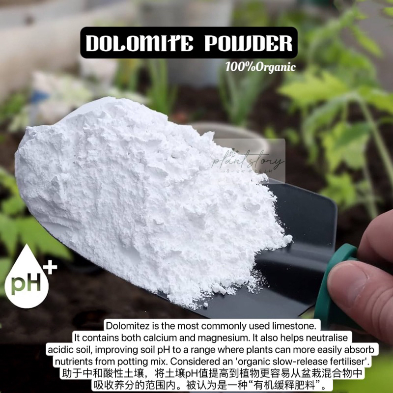 🌱500g🌱Kapur Pertanian 🌱石灰粉🌱Dolomite 🌱 Ground Magnesium Lime 🌱GML🌱 ...