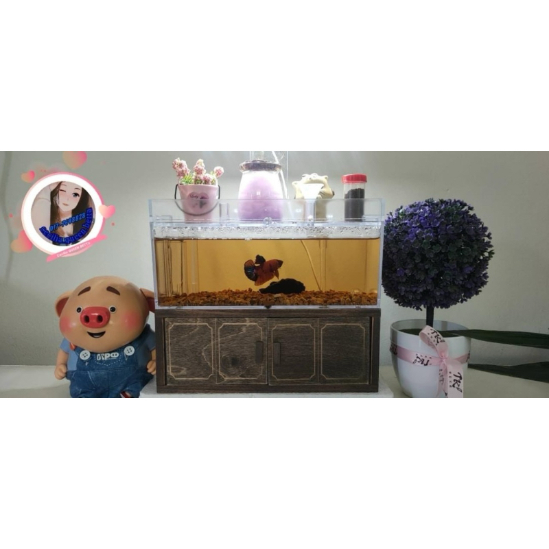 Tangki Ikan Mini Akrilik – Betta / Guppy + Penapis, Pam Air & Lampu LED ...