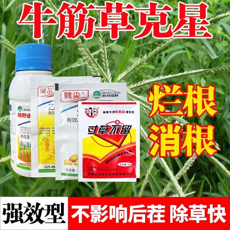 Goosegrass nemesis weed knotted weed killer root rot agent dichloride ...