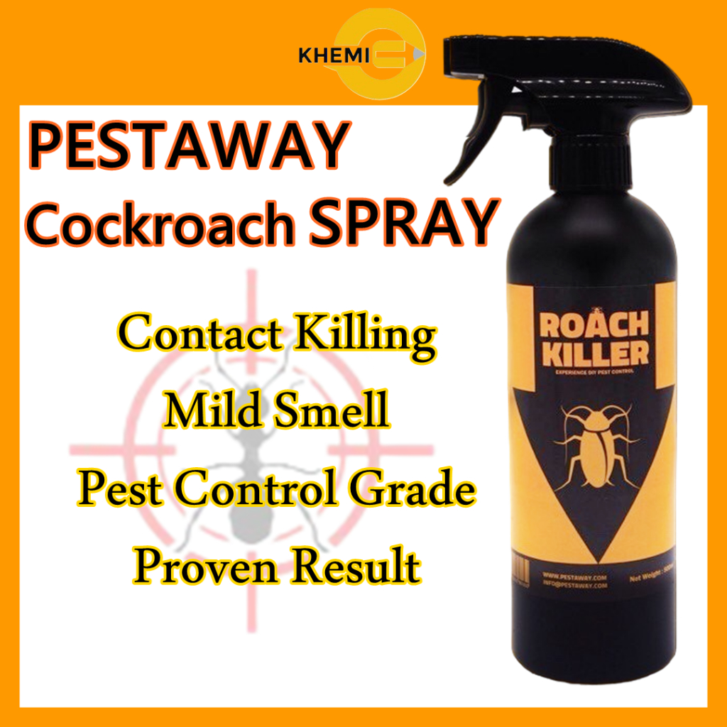 PEST AWAY 500ml Cockroach Spray. Highly Effective Cockroach Killing ...