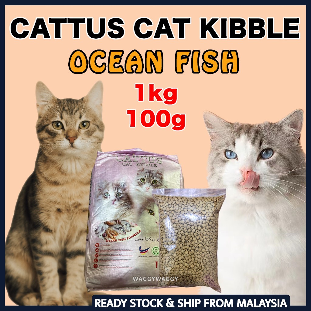 WaggyWaggy Cattus Cat Kibble 100g 1kg Original Pack Ocean Fish Formula ...