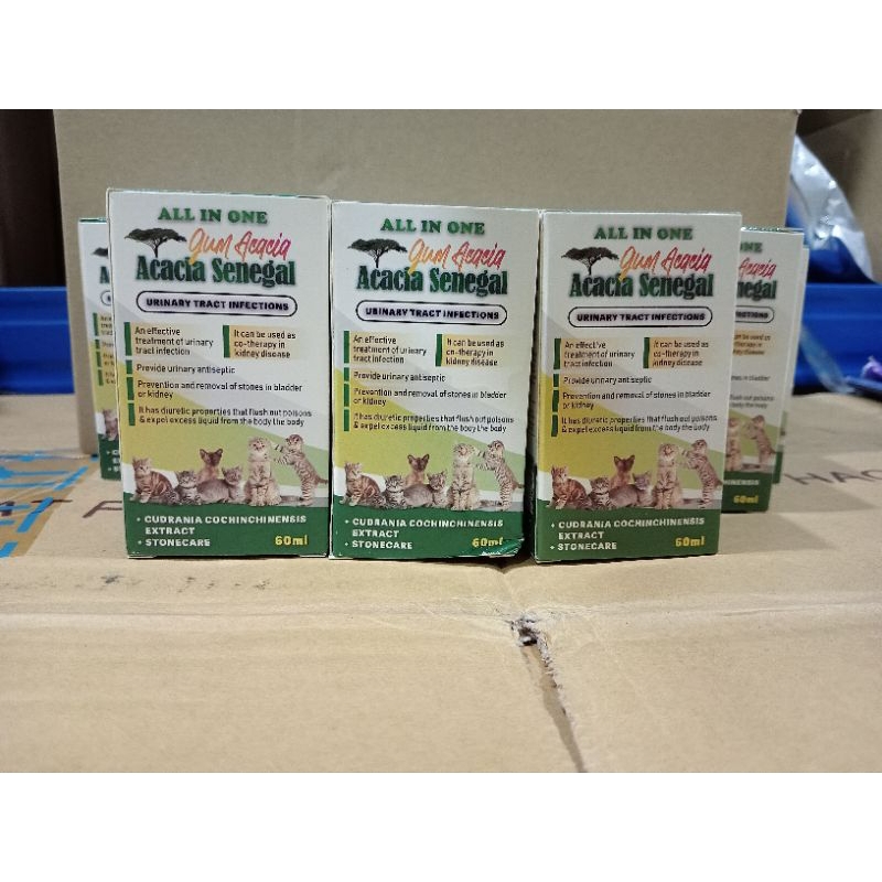 [1order=12pcs] All In One Gum Acacia Urinary Tract Infection/Kidney ...