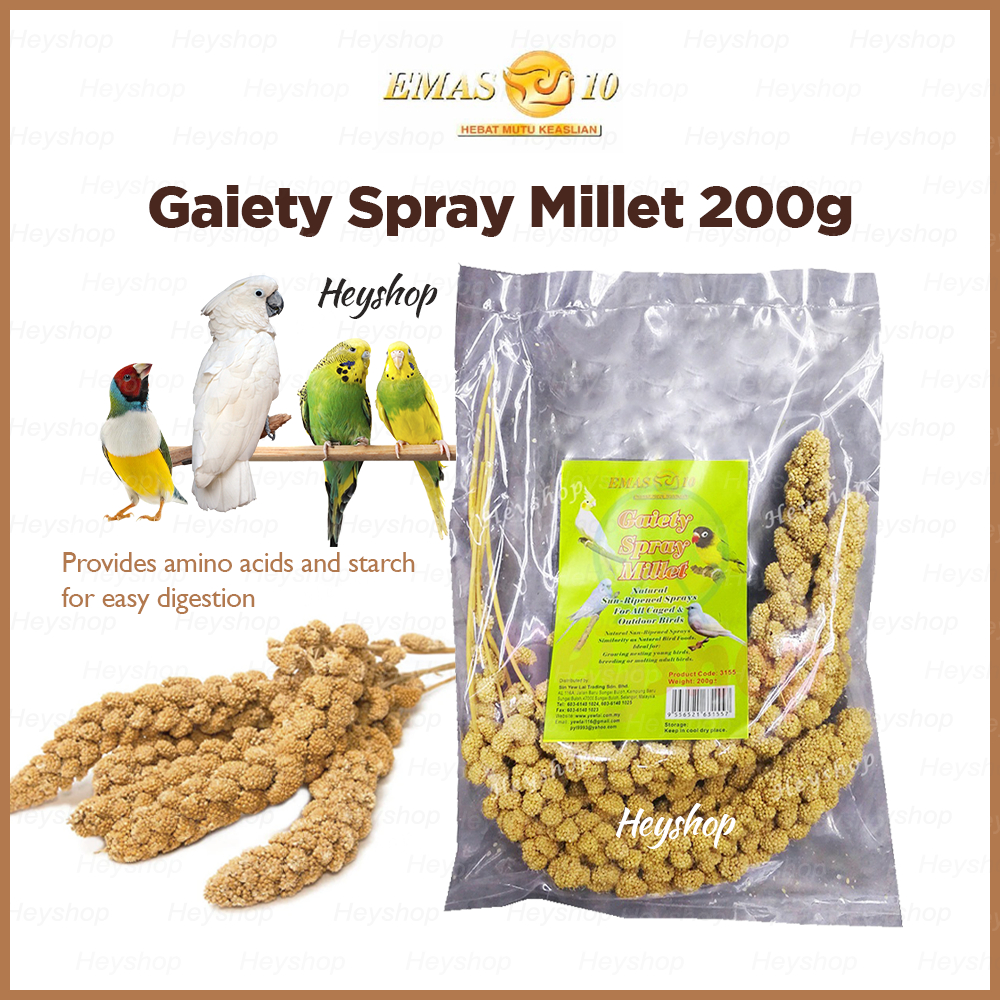 Gaiety Spray Millet 200g - Emas 10 Bird Food Red Millet Bird Feed ...