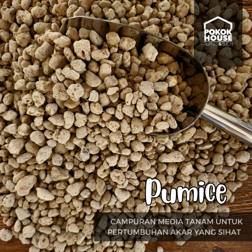 pumice (2L / 4L) - batu apung pengurai tanah (soil amendment for Aroid ...