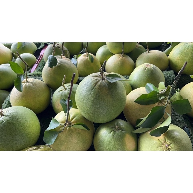 Ipoh Famous Local Limau Tambun 怡保著名正宗打扪柚子 Pomelo Fruits 👍👍👍,JK Biscuits ...