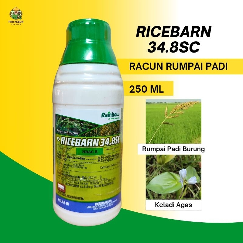 Ricebarn 34.8SC Herbicide Racun Rumpai Padi Racun Rumput Keladi Agas ...