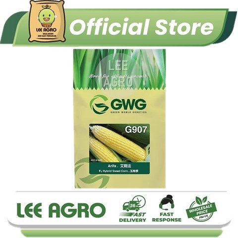 LECKAT G907 ARIFA SEEDS/JAGUNG GWG BENIH/SWEET CORN/G 907 ARIFA 甜玉米种子 | Shopee Malaysia