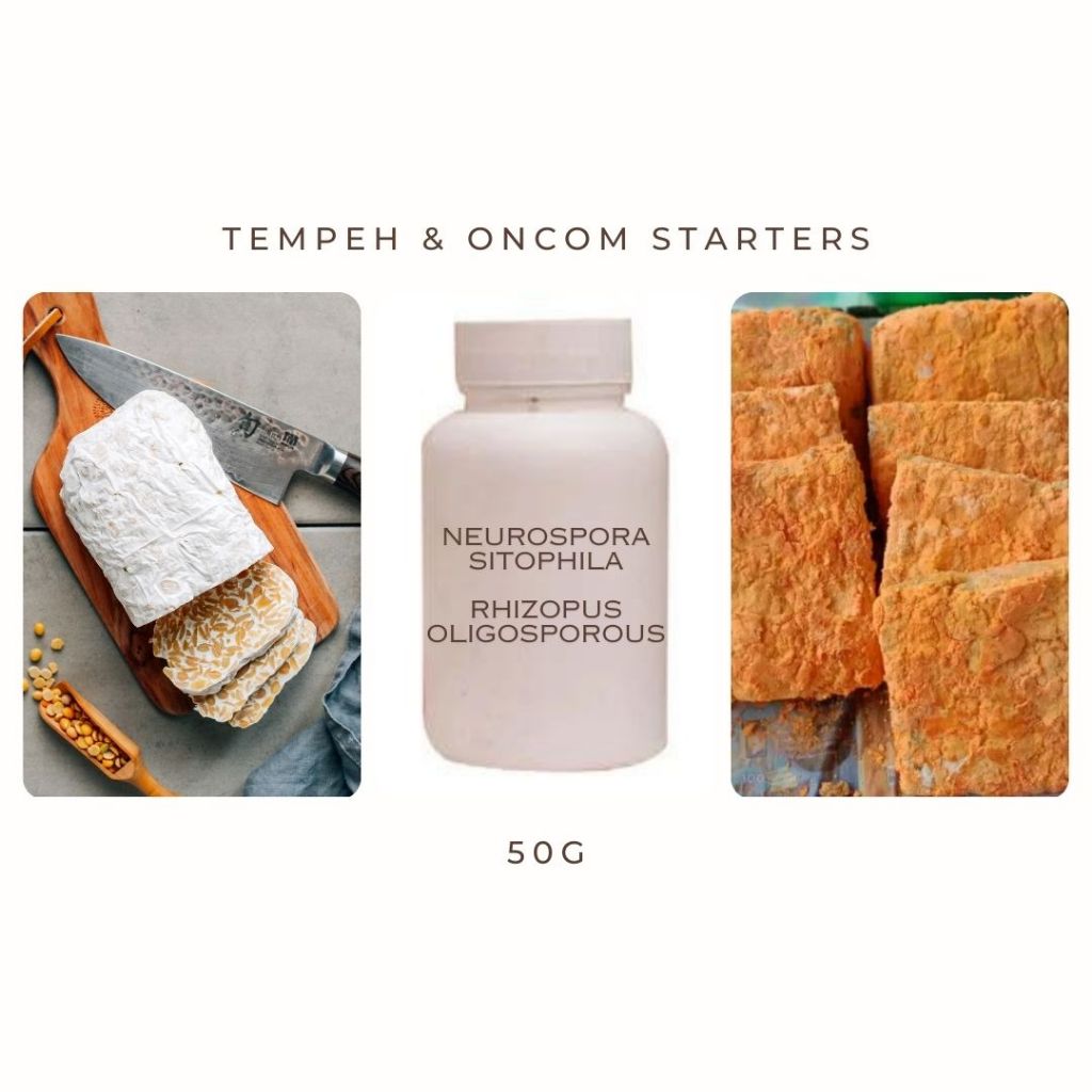 Tempeh Oncom Starter 50g Rhizopus Oligosporous Neurospora Sitophila ...