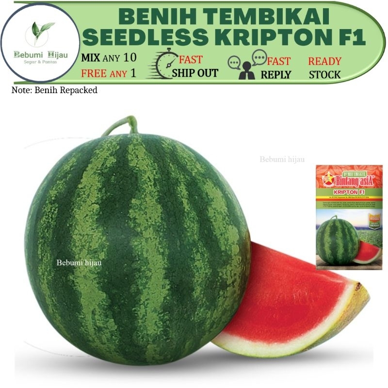 PELBAGAI Biji benih TEMBIKAI WATERMELON seeds manis juicy besar tembikai merah tembikai kuning ...