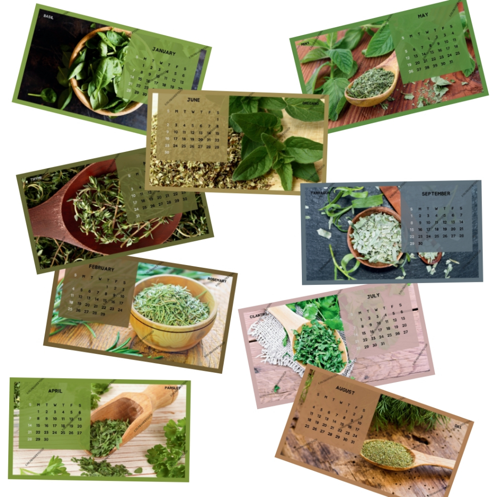 12 TYPE OF HERBS 2024 CALENDAR PRINTABLE PDF | Shopee Malaysia