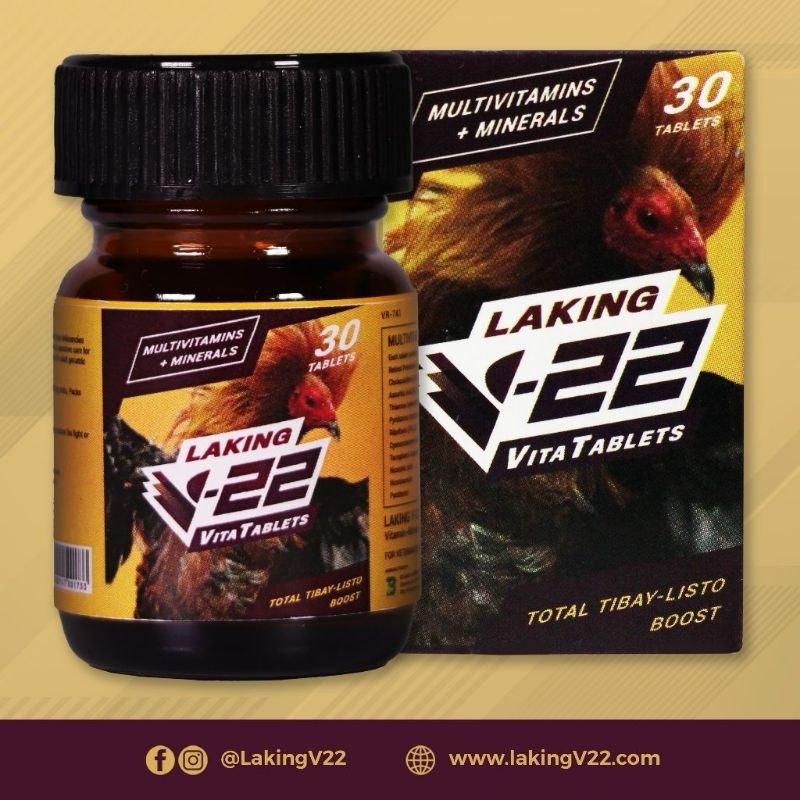 V-22 Tablet multivitamin + minerals (original) | Shopee Malaysia