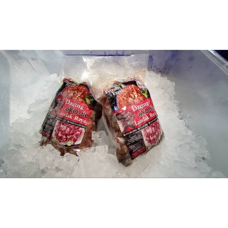 Daging landak raya🦔🦔 | Shopee Malaysia