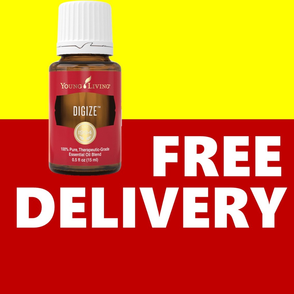 DiGize Essential Oil 5ml / 15ml 100% Original YL YLEO for Abdomen ...