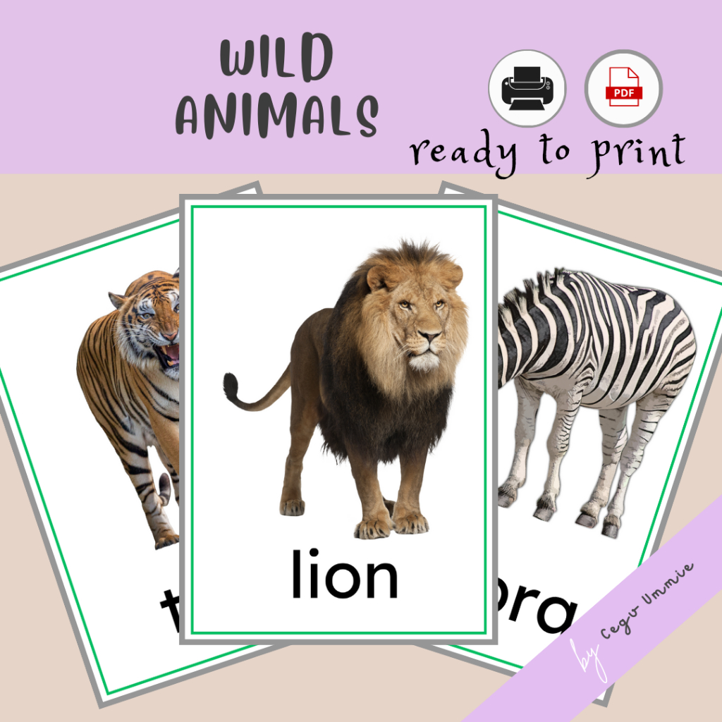 [ Softcopy | PDF ] Kad Imbasan Haiwan Liar wild animals Flash Cards ...