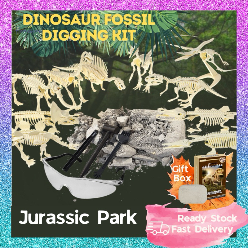 Dinosaur Fossil Digging Kit Children Science Excavation Tool Archeology ...