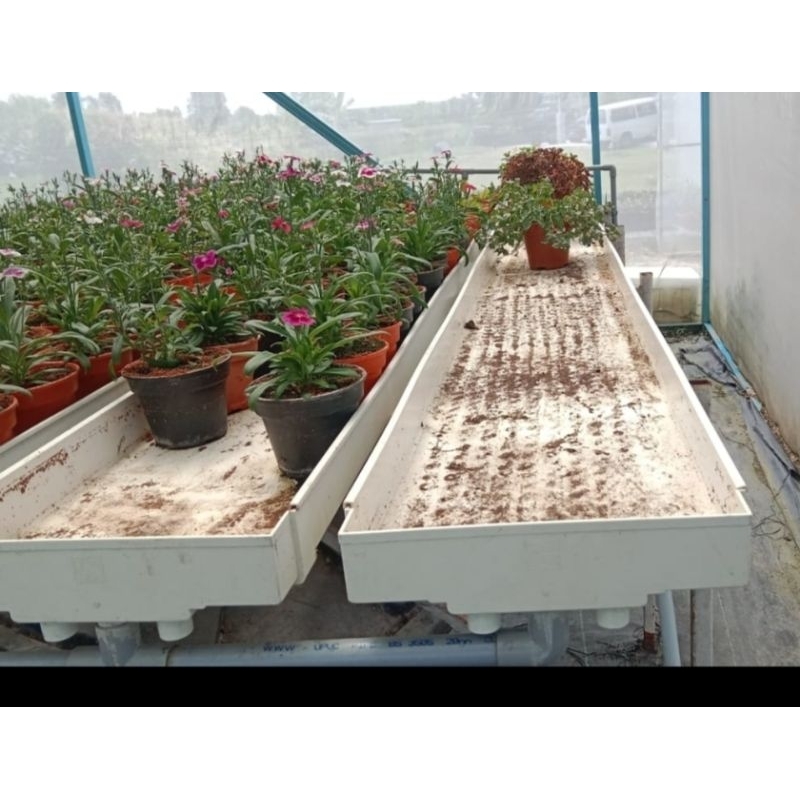 2 batang, 300mm (lebar)X 3m panjang X 65mm (tinggi )PVC hydroponik tube ...