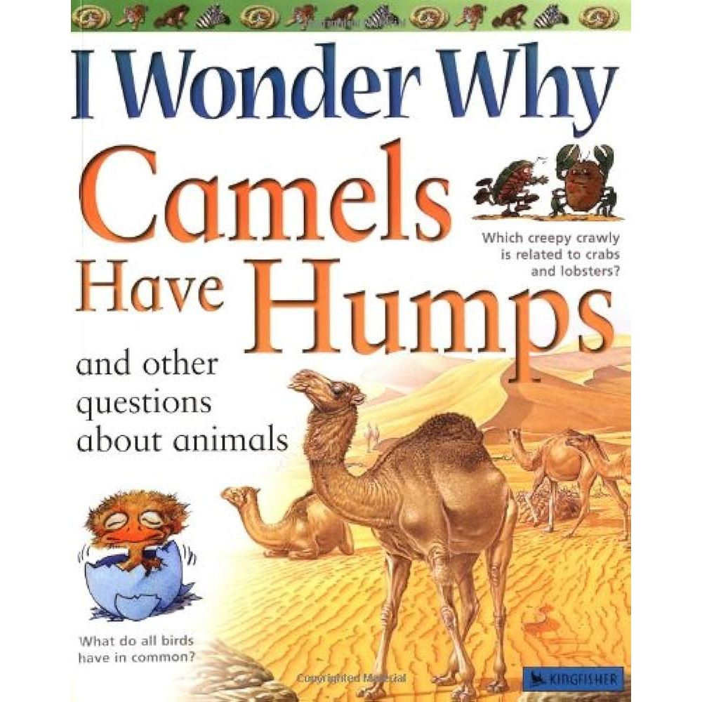 English Knowledge Reading Book (2nd Hand) / Bedtime Stories Large Print ...