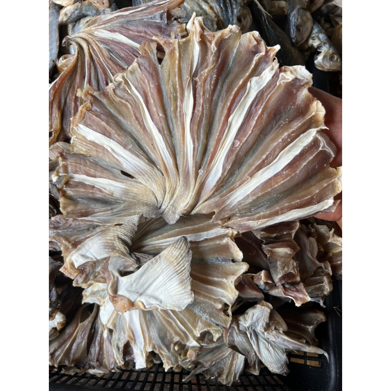 Ikan Pari Kering kurang masin 500g | Shopee Malaysia