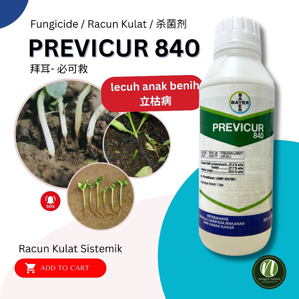 Bayer PREVICUR 840 (1L) Fungicide - Racun Kulat Mengawal Lecuh Anak ...
