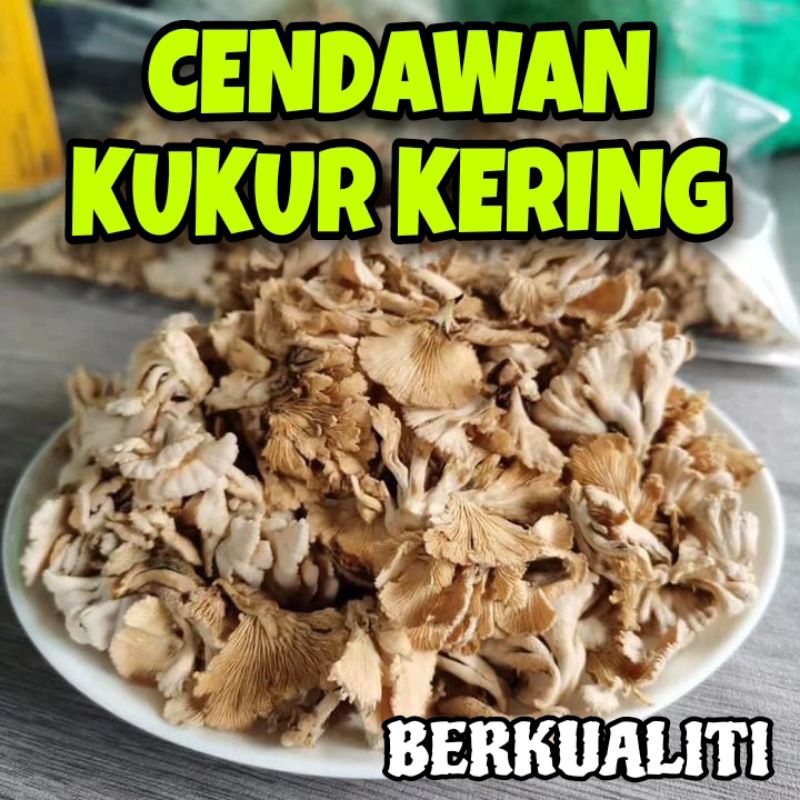 CENDAWAN KUKUR KERING 40g & 20g ( dah kering elok ) | Shopee Malaysia