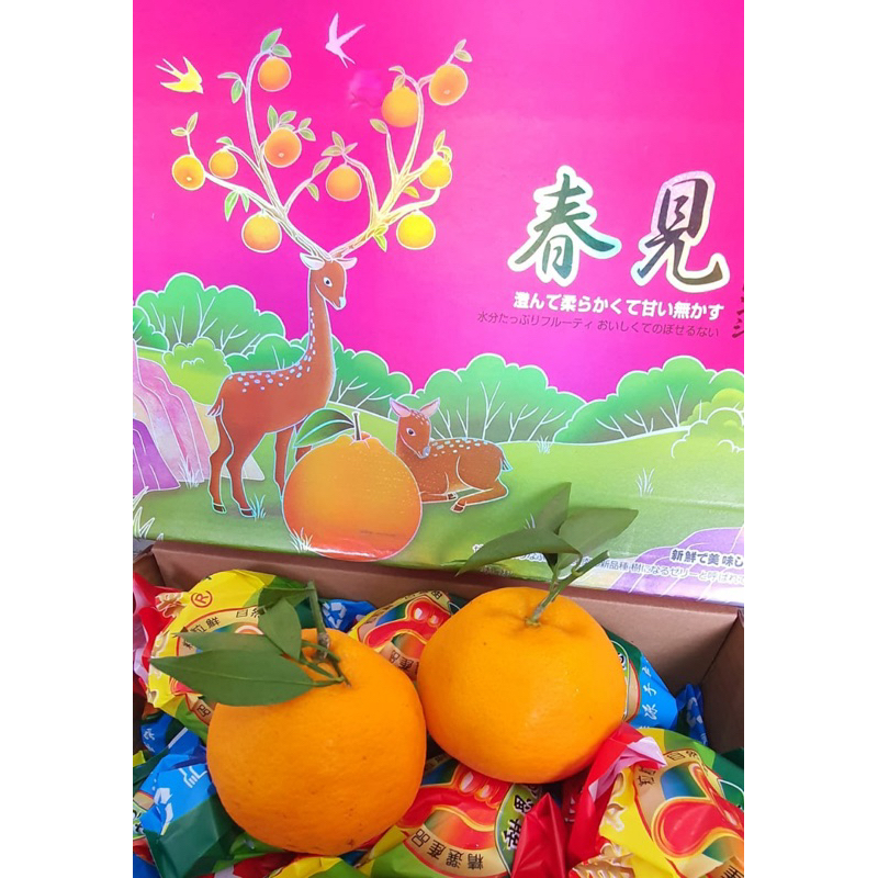 BaBa Mandarin 春见粑粑柑 🍊 | Shopee Malaysia