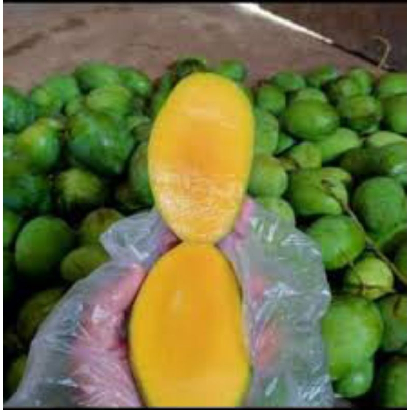 Kuini,Buah Kuini 1KG(Masam) | Shopee Malaysia