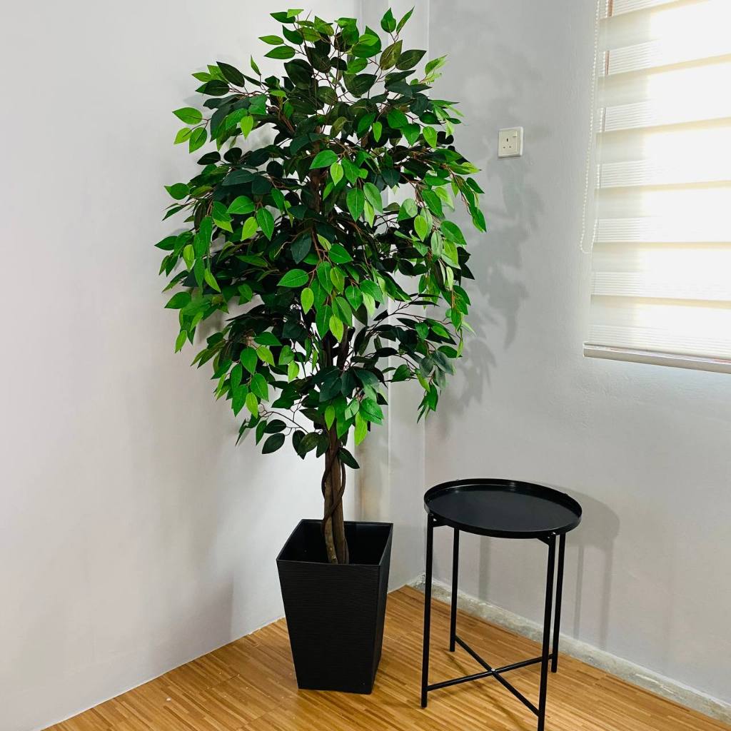 NEW! Premium Artificial Ficus Banyan Tree Fejka / Artificial Weeping ...