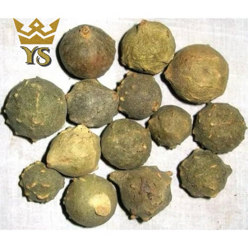 Whole Masikai | Majuphal | Oak Gall | Manjakani | Quercus Infectoria ...