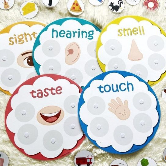 Busy book Five Senses Sorting Activity | Shopee Malaysia