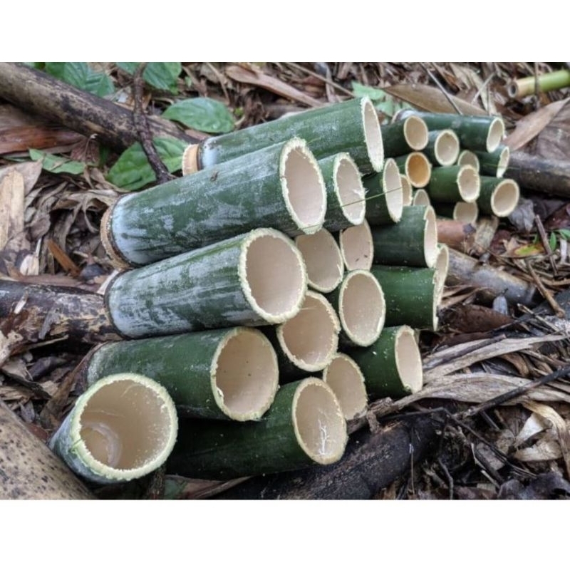Buluh lemang kukus/putu buluh | Shopee Malaysia