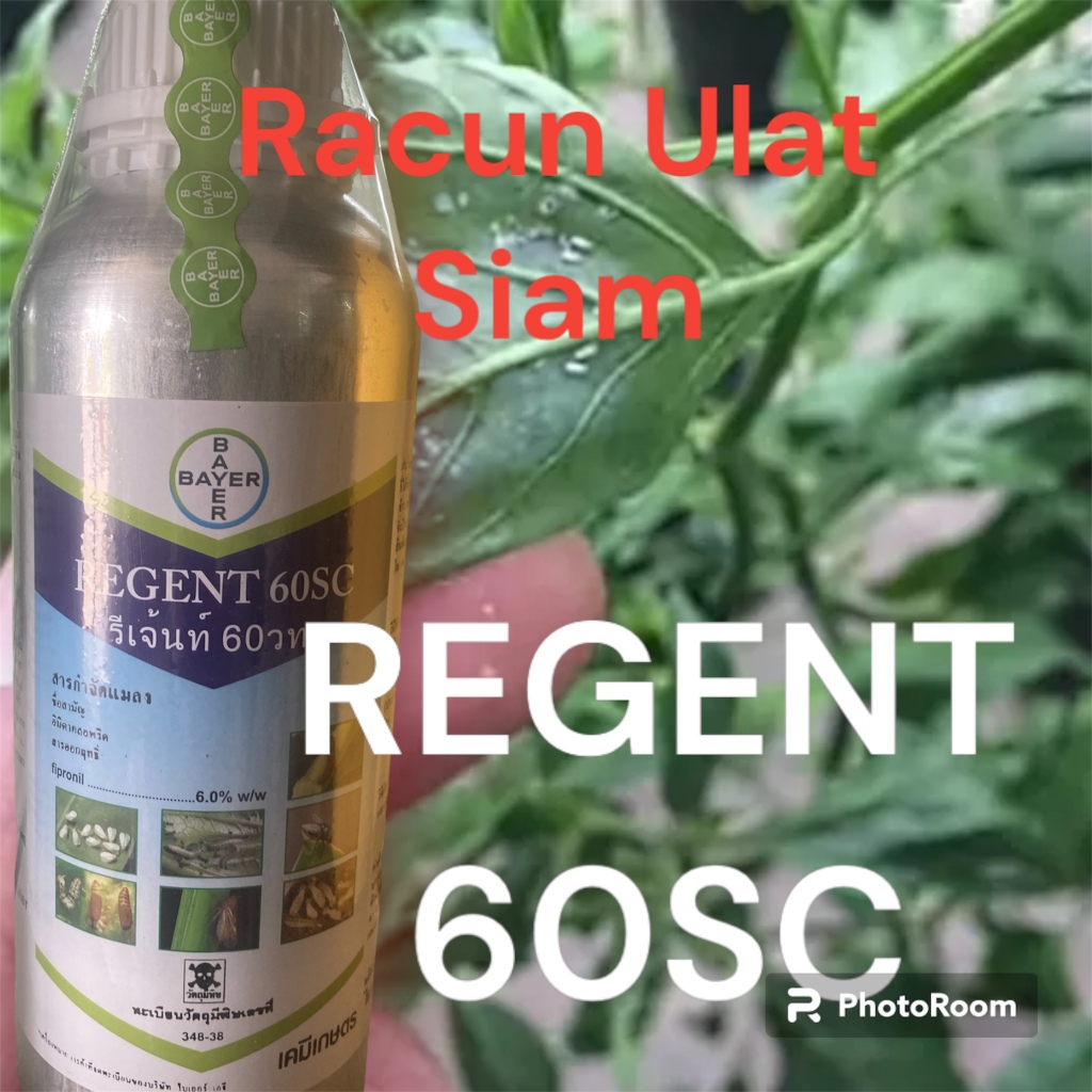 1lit./ Racun Ulat Siam Regent 60SC / Racun Serangga Siam /Mengawal ...