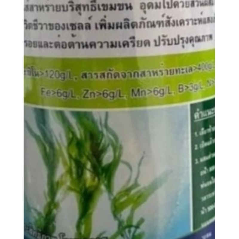 Thai Algae Amino Master, Thai Algae Amino Plus, Thai Flower Foliar ...