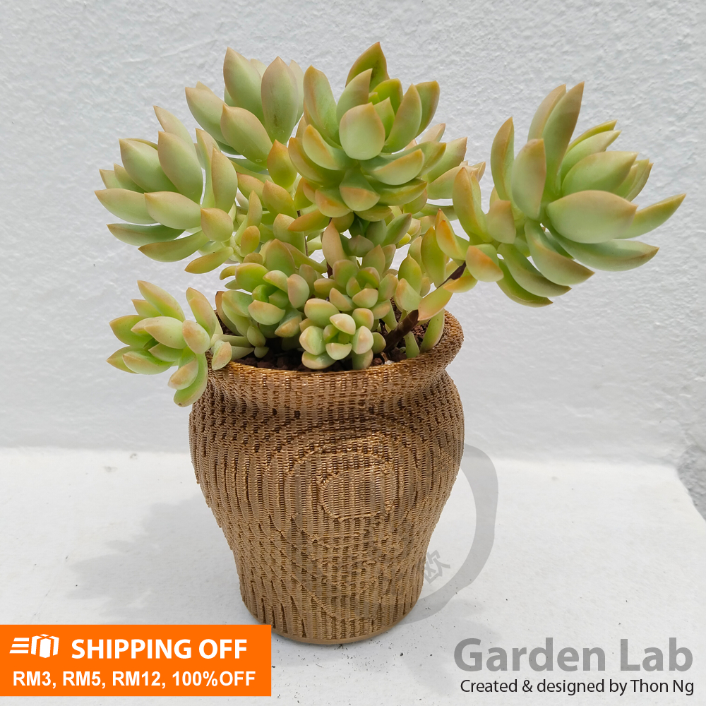 C1-100 (Small) Colar v1, 多肉领口盆 v1,(3DPrinted)Garden lab Pot, Cactus ...