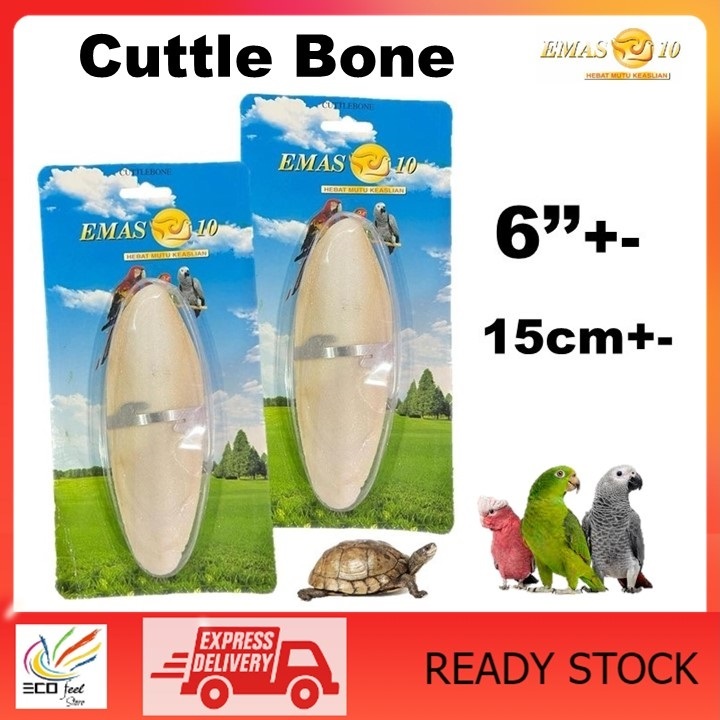 Emas 10 - Cuttle Bone 6" Cuttle Fish Bone / Tulang Sotong | Shopee Malaysia