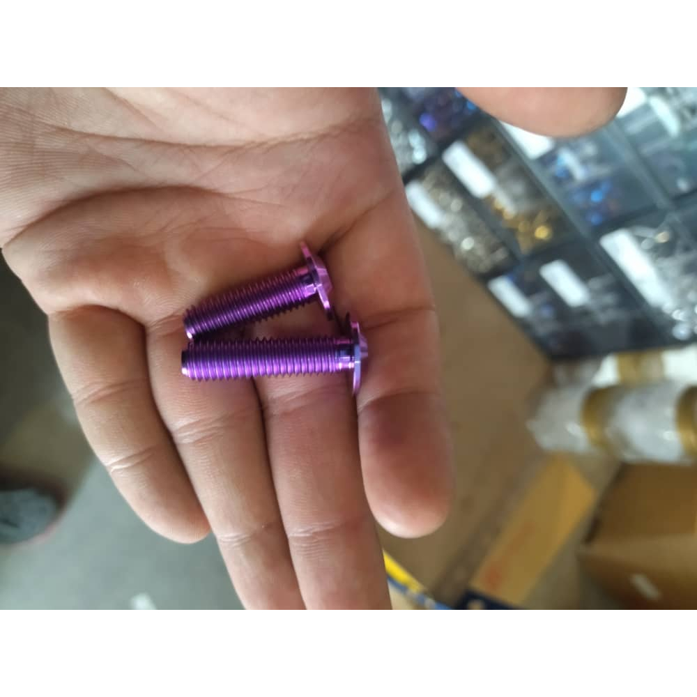 UNIVERSAL HEAVY DUTY M8 X 25MM M8 X 20MM TITANIUM Purple Green DISC ...
