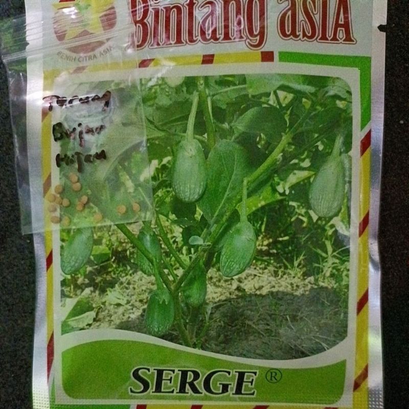 10-30 biji benih TERUNG BULAT HIJAU / UNGU / OREN asam/ PUTIH Ulam ...