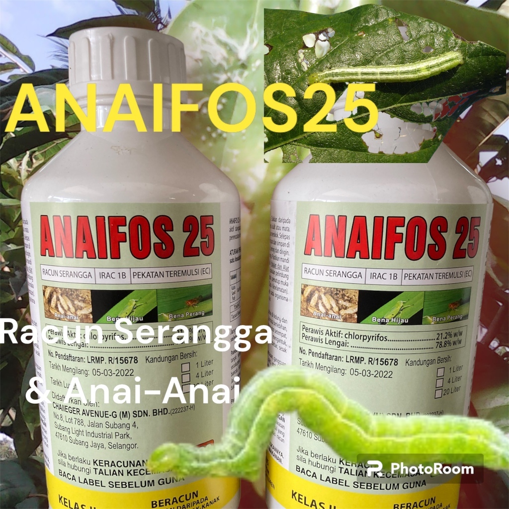 1lit/ Racun EB Anaifos 21 / Racun Serangga / Racun Anai-Anai / Racun ...